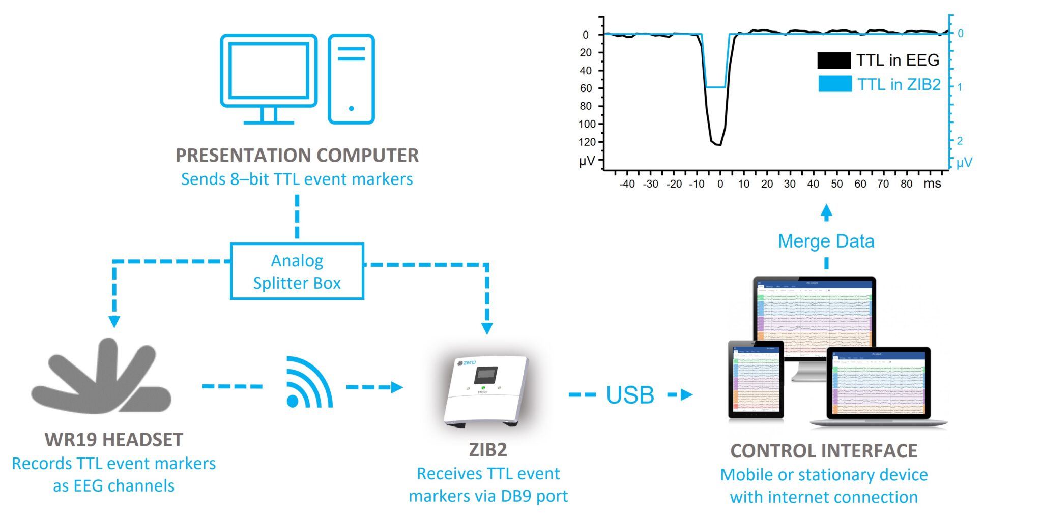 ZETO ERP Event Marker Integration for Precise EEG Analysis