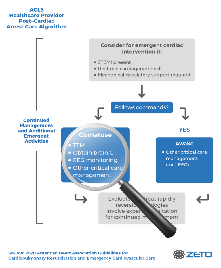 EEG After Cardiac Arrest: Neuroprognostication as a Vital Tool